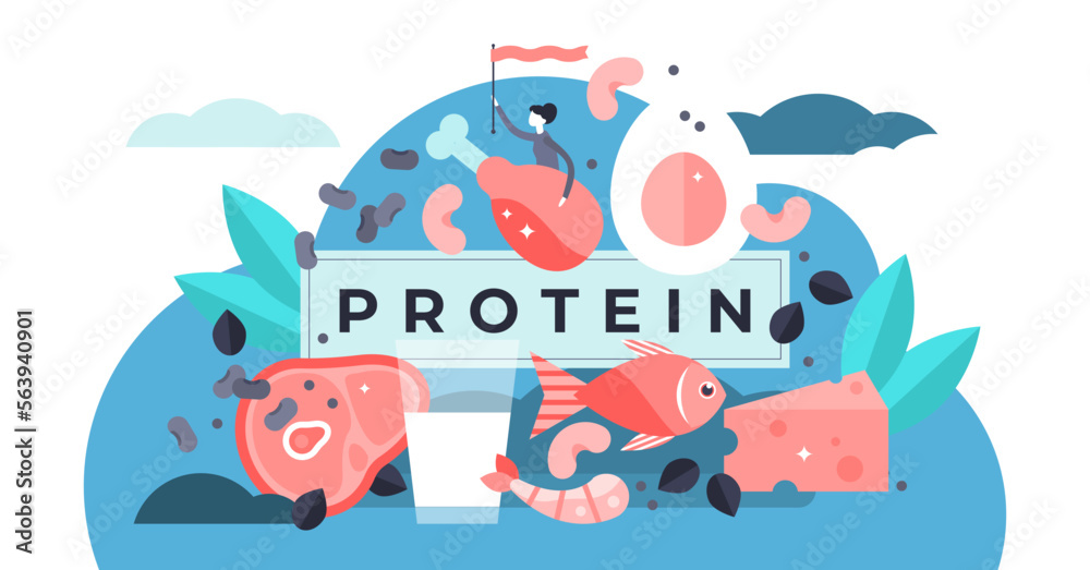 Protein illustration, transparent background. Flat tiny amino acid food ...