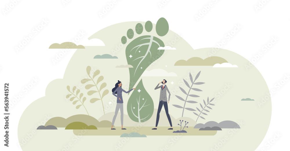 Carbon footprint effect and CO2 emission problem reduce with ecological ...