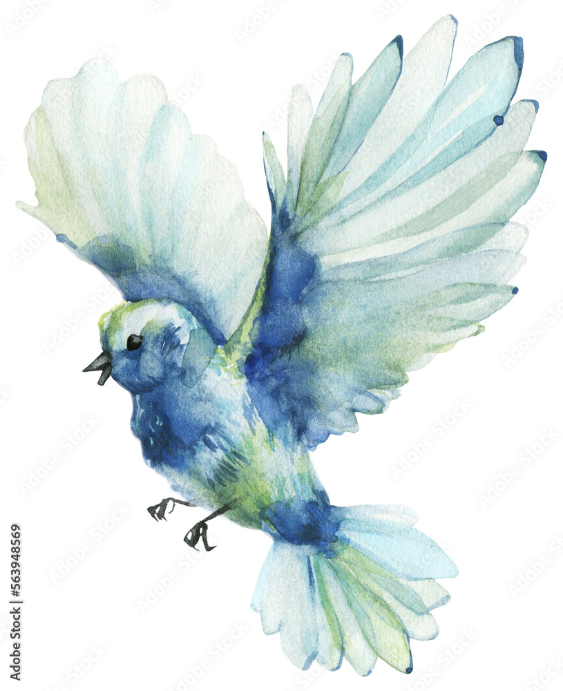 Blue and azure flying bird. Vector traced gentle watercolor painted ...