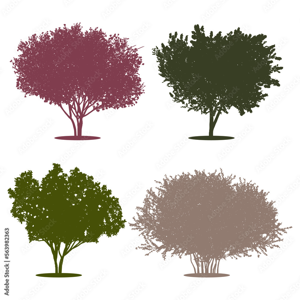 Deciduous tree silhouette collection. Set of deciduous tree silhouette ...