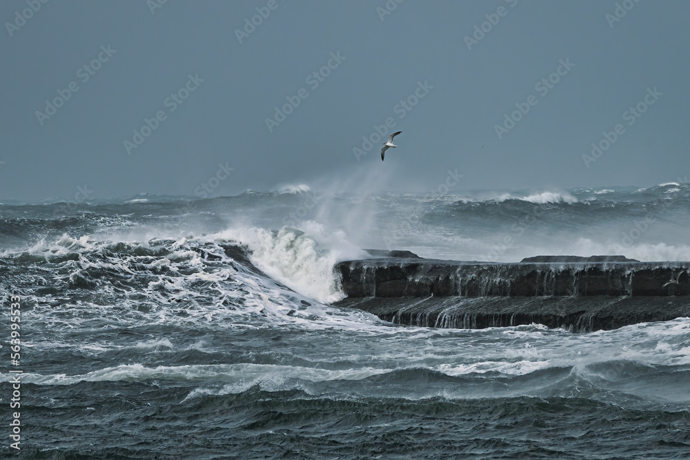 Storm surge creates high waves crashing on a jetty Stock Photo | Adobe ...
