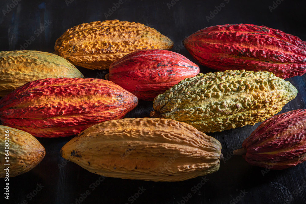 Foto de Variedad de cacaos del Ecuador do Stock | Adobe Stock