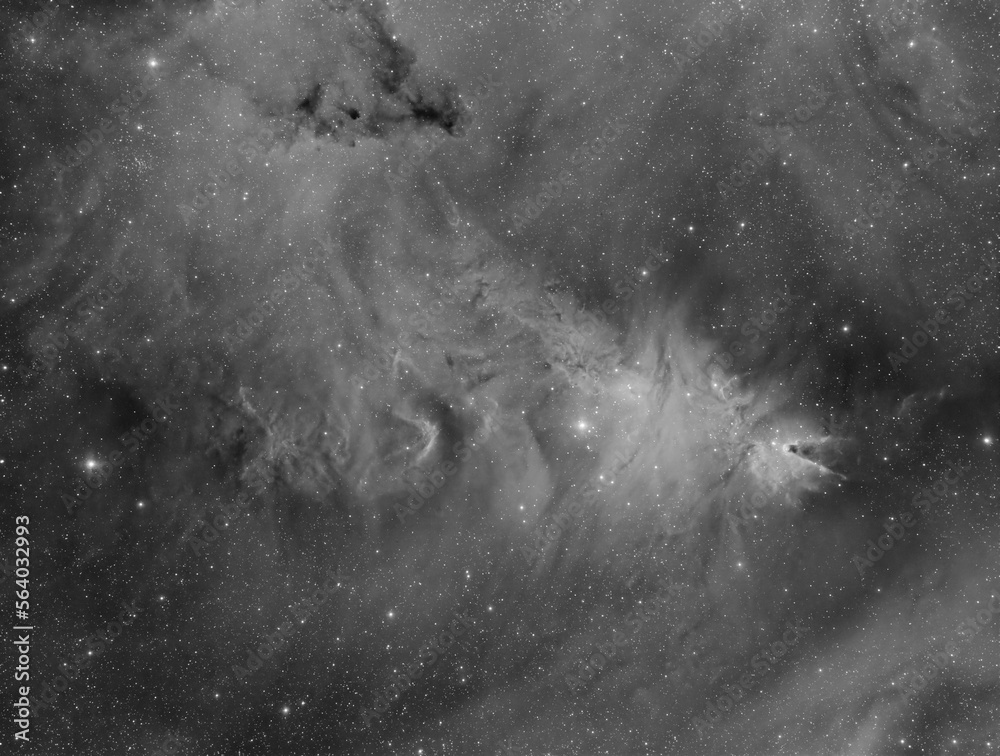 Photo & Art Print Christmas tree cluster and its nebula, also known as ...