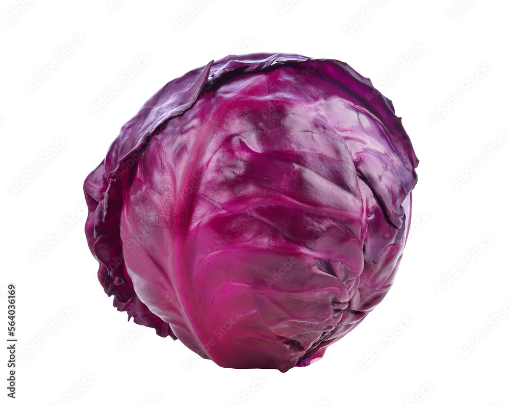 Red cabbage isolated on transparent background. PNG Stock Photo | Adobe ...