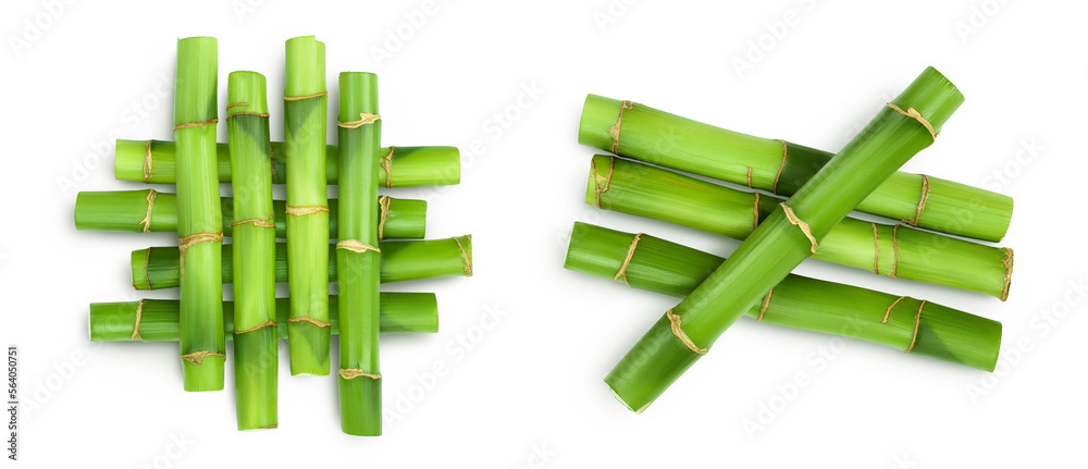Green bamboo isolated on white background with full depth of field. Top ...