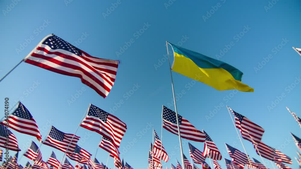 Flag of Ukraine waving in wind with many American flags on motion ...