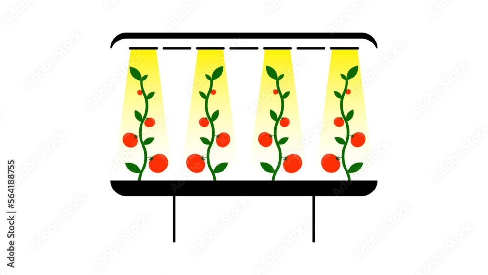 Animated smart lighting system for plants in the greenhouse. Efficient ...