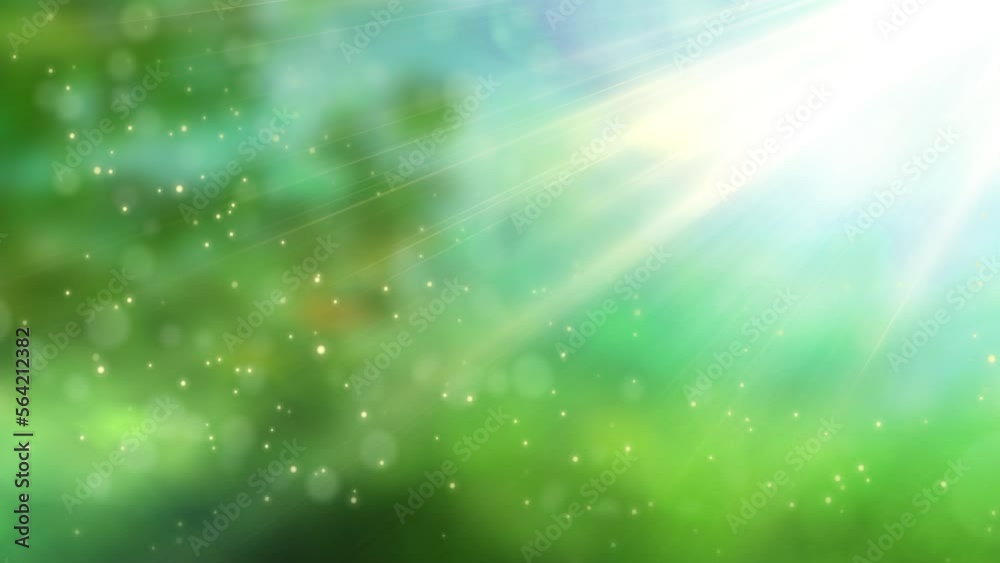 Seamless 4K animation of a nature background with bokeh effects and ...
