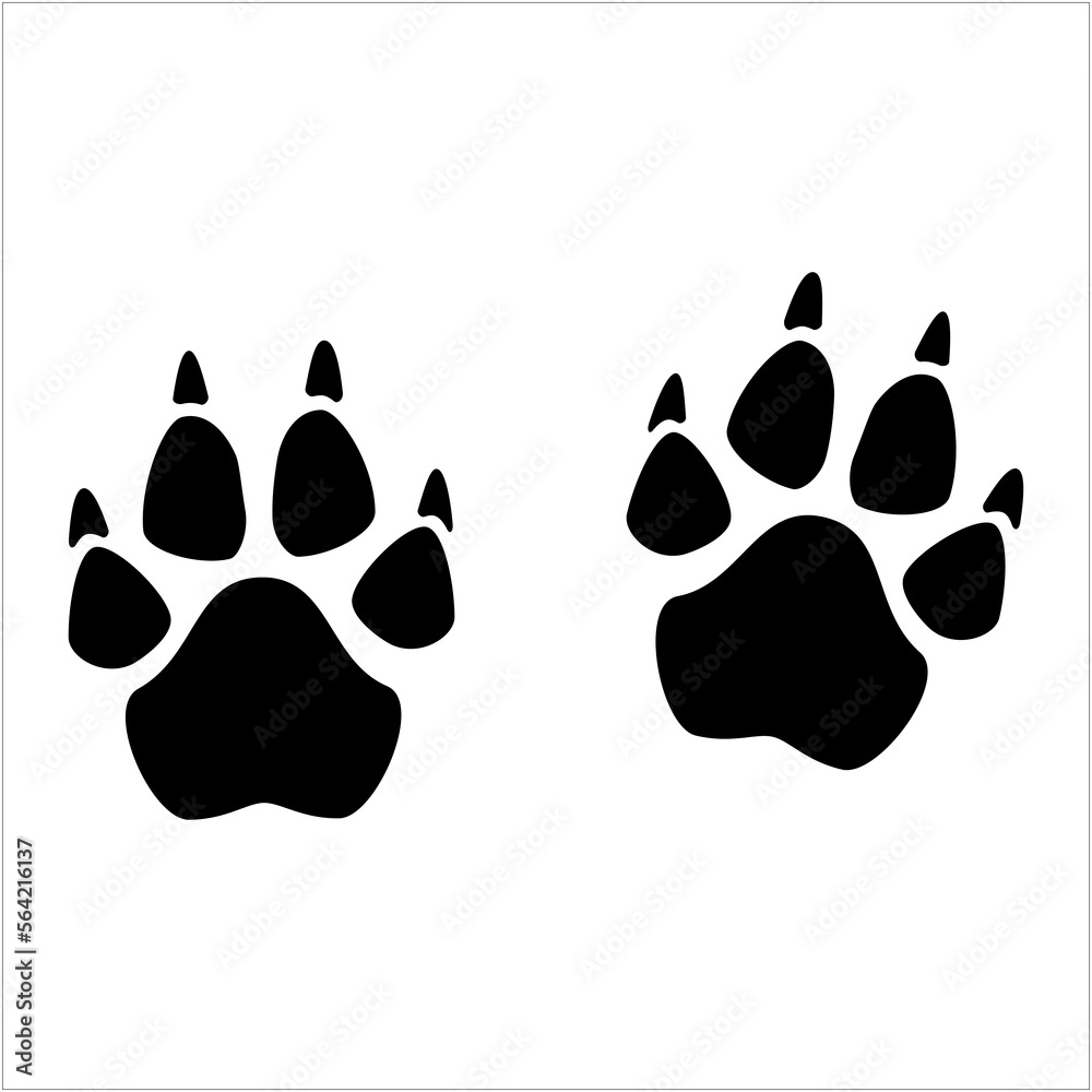 Lion paw print. A pair of lion paws. Black and white isolated in ...