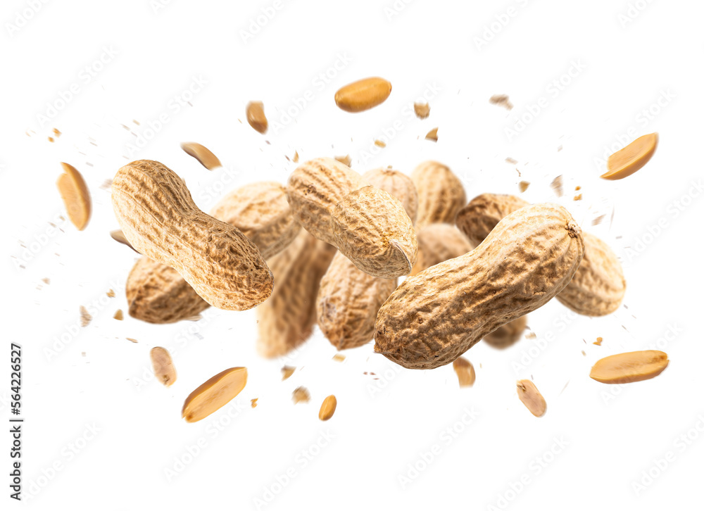 Collection of peanuts explosion isolated on white background. Selective ...