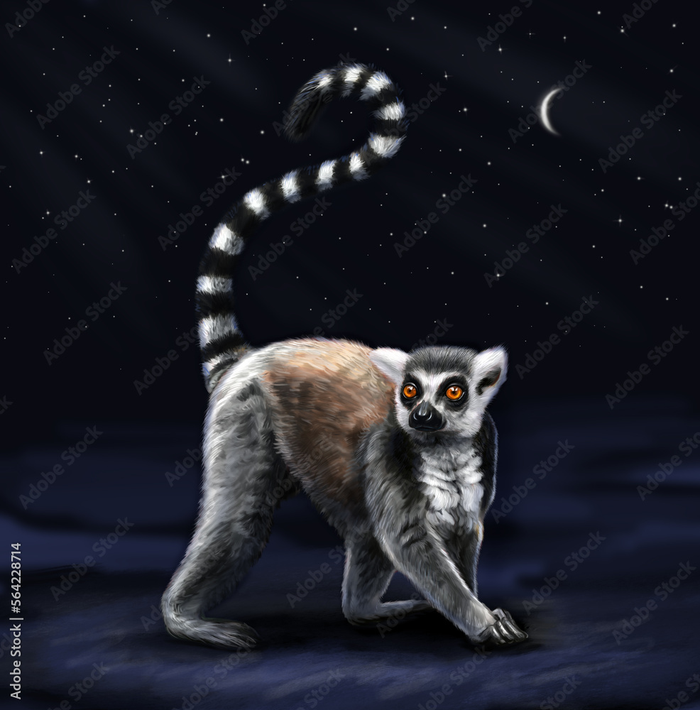 Realistic digital painting of a Lemur. Wild animal. Raster African ...