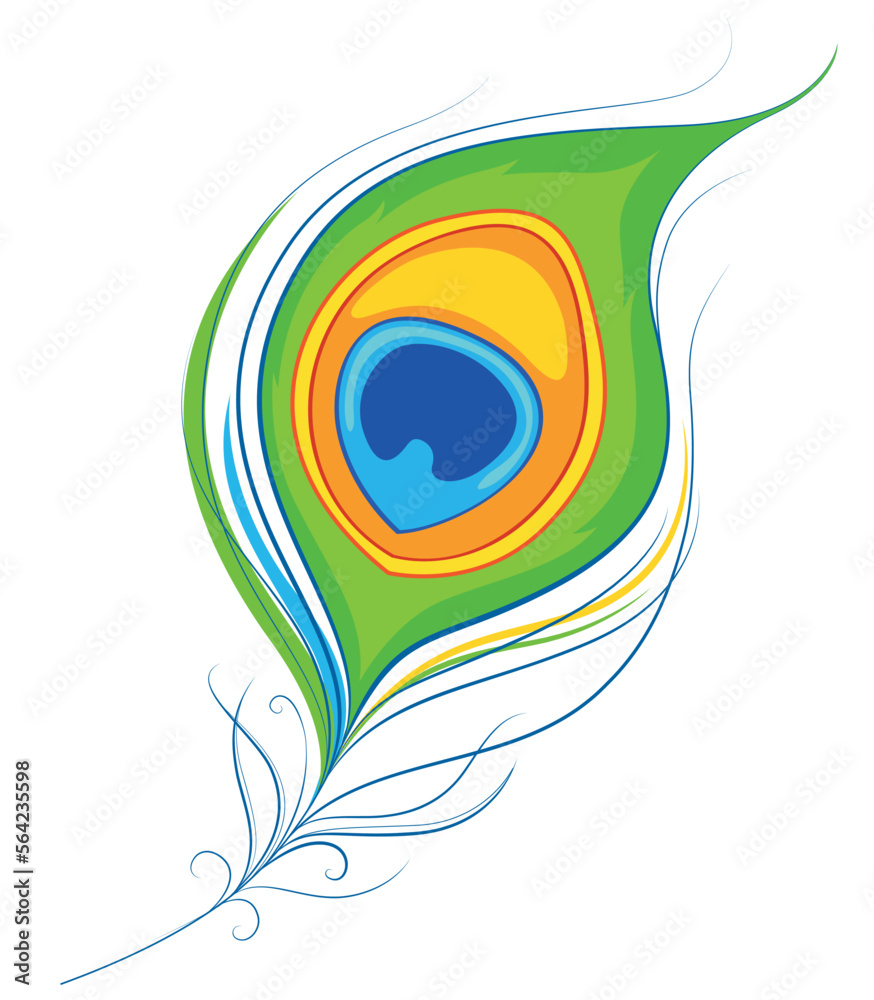 Beautiful Peacock Feather Stock Vector Adobe Stock