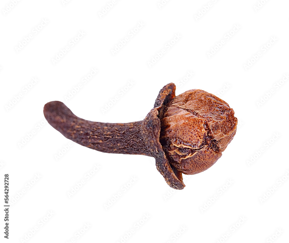 Cloves (flower buds of Syzygium aromaticum). Clipping paths, shadow ...