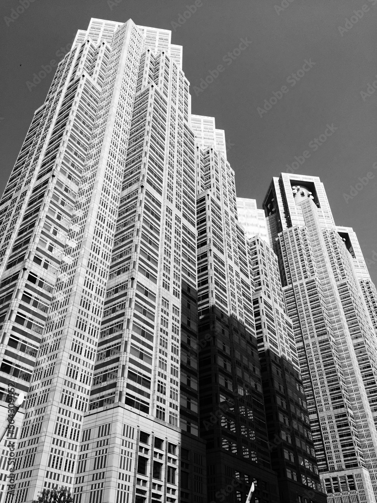 Tokyo skyline in black and white showing skyscrapers and modern ...