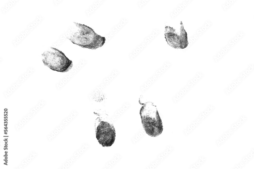 fingerprint hand palm texture png isolated Stock Illustration | Adobe Stock