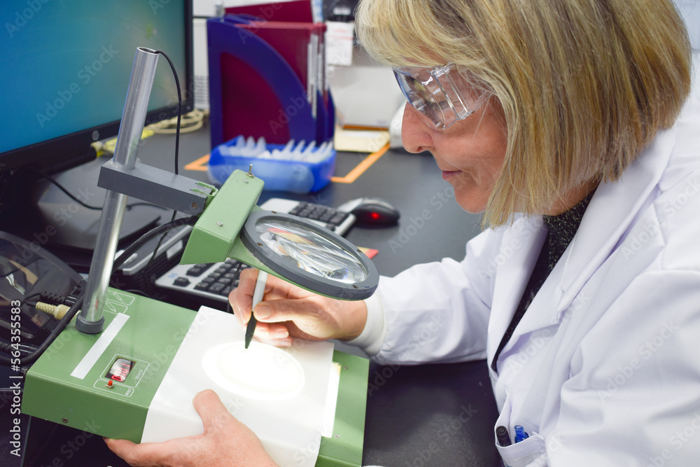 Smiling mature scientist woman wearing lab coat is counting colonies ...