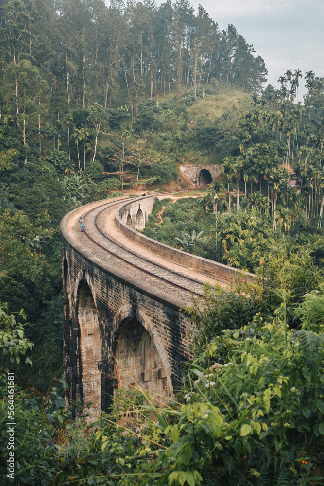 Ella, Sri Lanka - February 4th, 2022 : Train on the iconic Nine Arch ...
