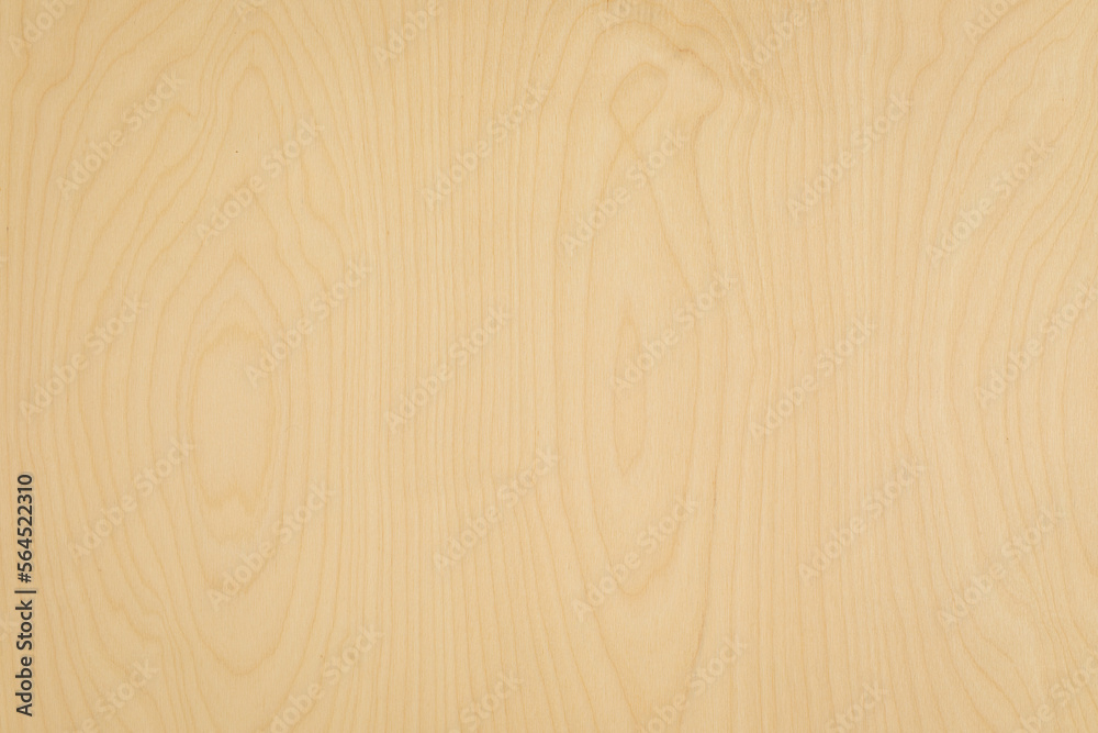 High key birch wood plank natural texture, plank texture background ...