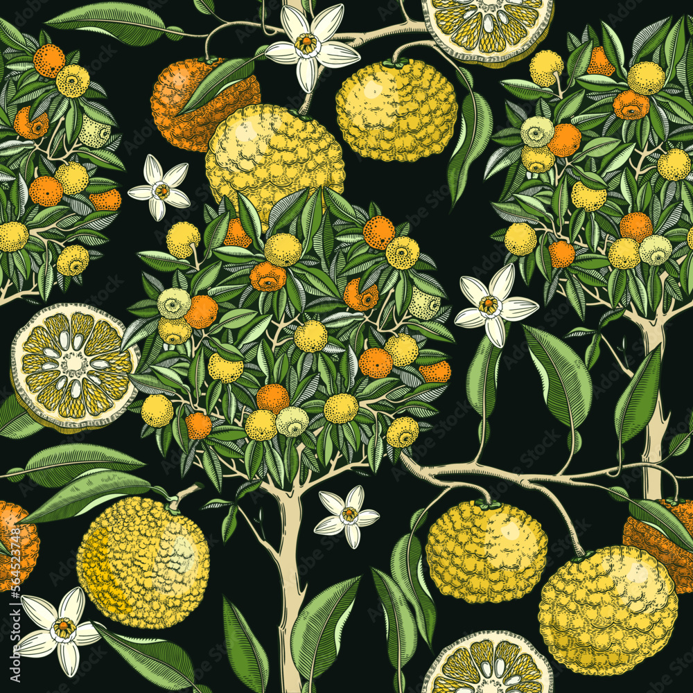 Hand-drawn yuzu tree background design in color. Vintage citrus ...