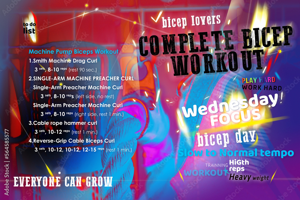 Wednesday workout routine One Day in a 7 Day Program The Perfect Bicep ...