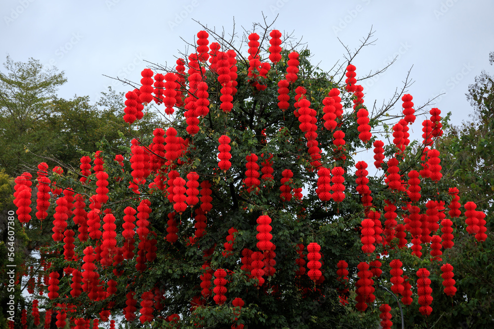 View of green tree decorated with traditional red lanterns for ...