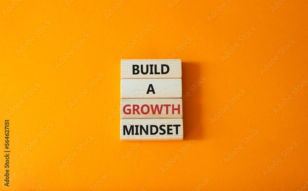 Build a growth mindset symbol. Concept words Build a growth mindset on wooden blocks. Beautiful ...