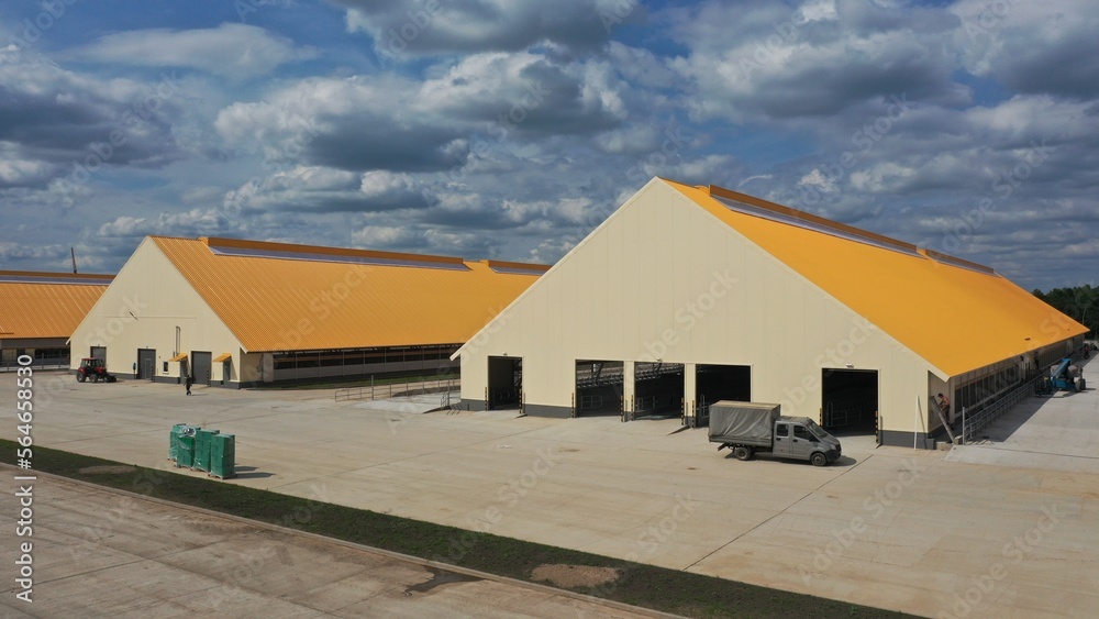 Workers, attendants on a modern agricultural farm in Europe. Dairy farm ...