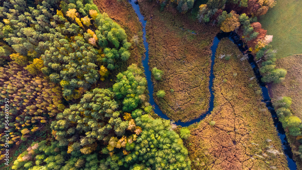 Jesienny mazurski las, widok z drona na jesienny las z zakolem rzeki ...