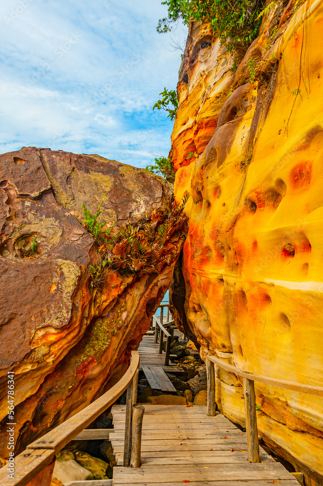 Ream National Park, a national park of Cambodia located near the city ...