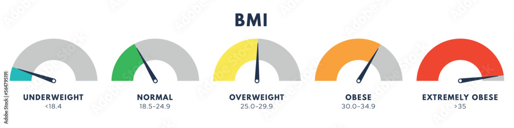 Body Mass Index or mass index scale. Types of BMI.Weight loss concept ...