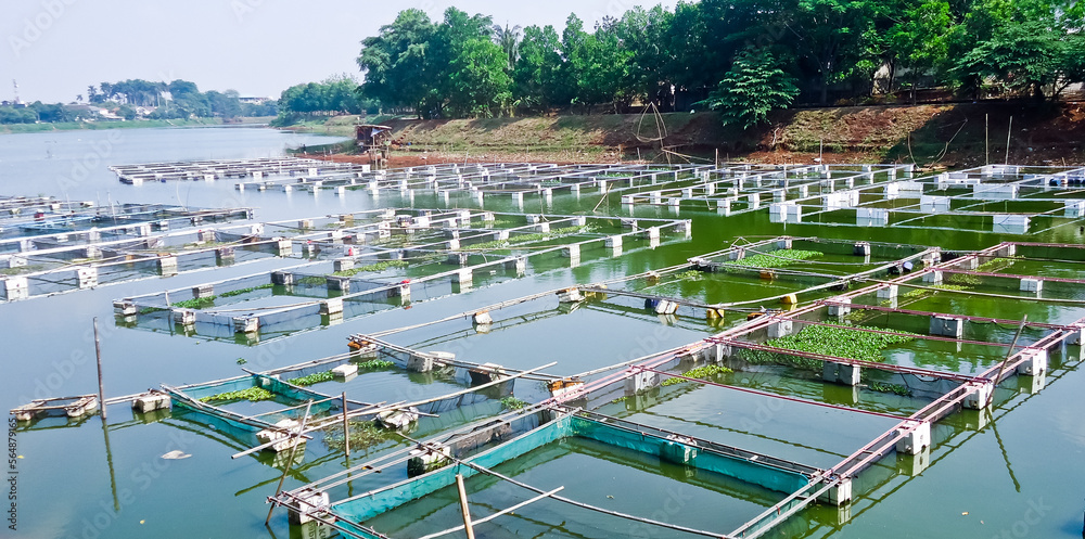 freshwater fish farming in lakes using cages Stock Photo | Adobe Stock