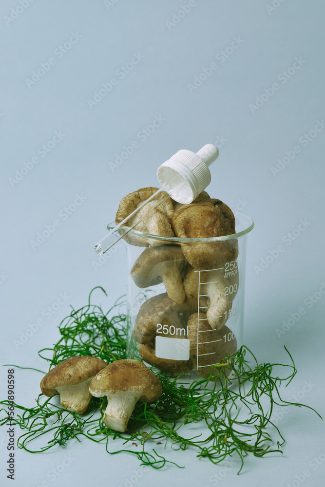Mushrooms in a laboratory becker glass Stock Photo | Adobe Stock