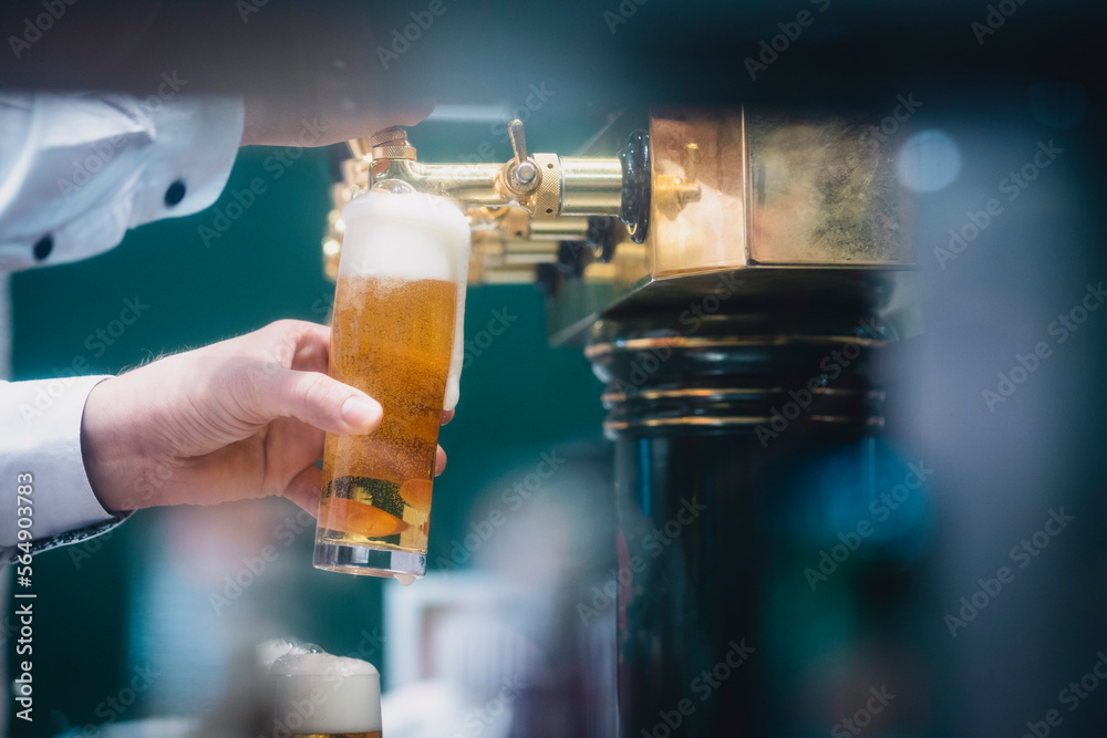 Frisches Bier am Tresen zapfen Stock Photo | Adobe Stock