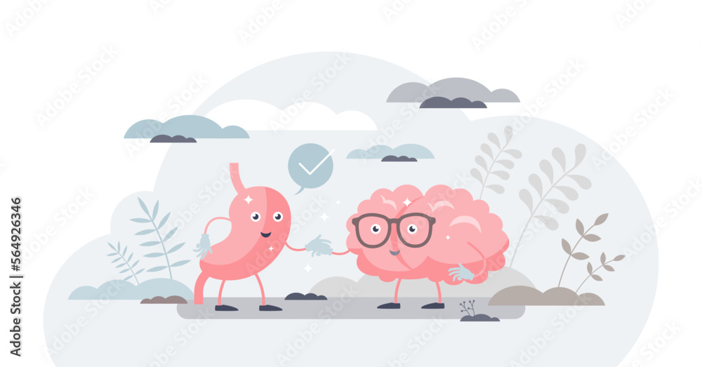 Gut brain connection as friendly inner organ characters tiny person ...