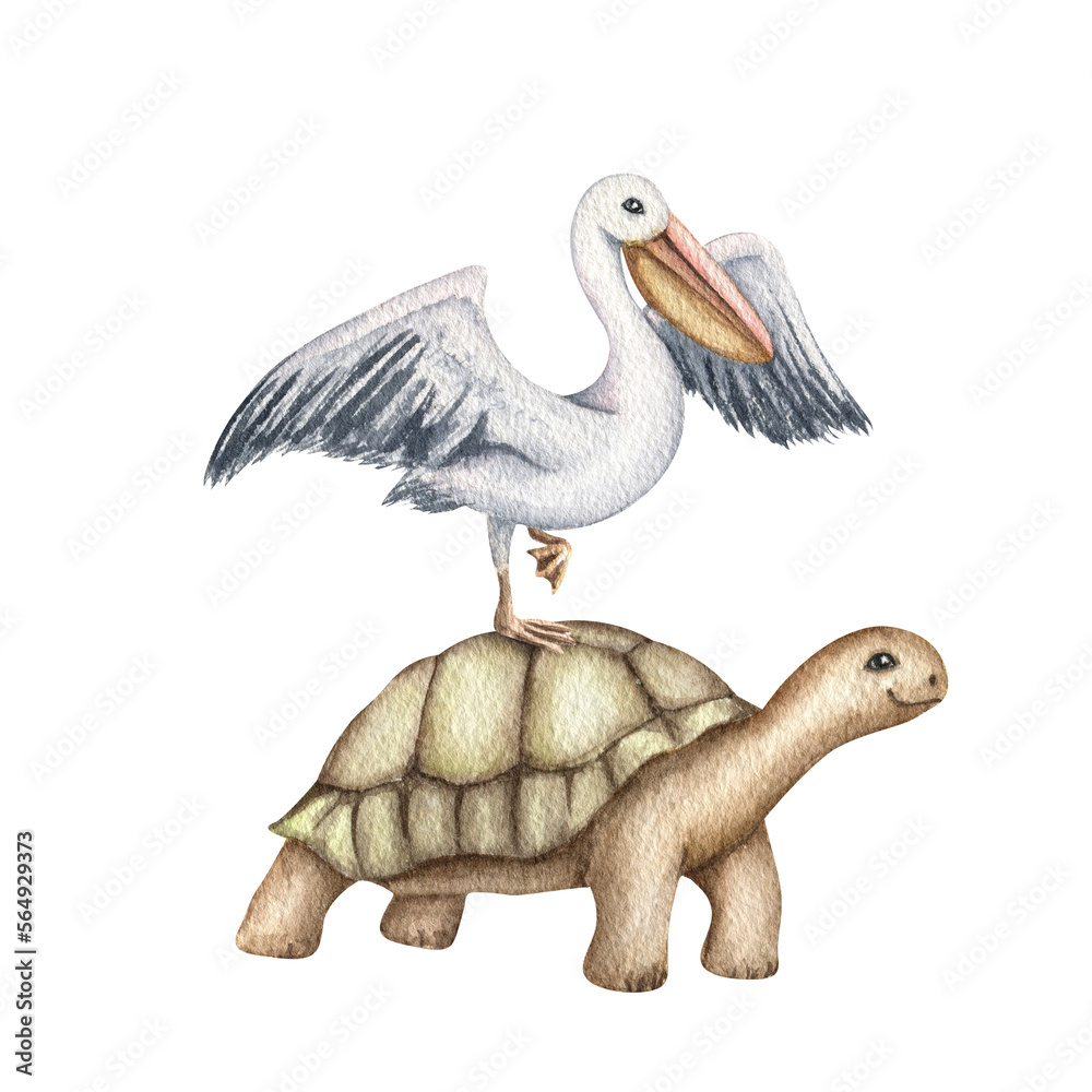 Cute pelican and turtle. Watercolor circus illustration isolated on ...