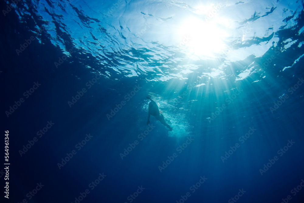 Underwater view of a swimmer enjoying a relaxing swim in the tropical ...