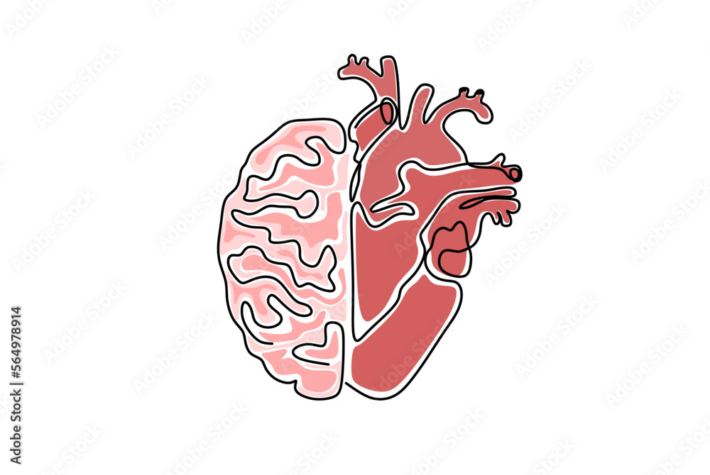 one line human heart and brain anatomy illustration Stock Vector ...