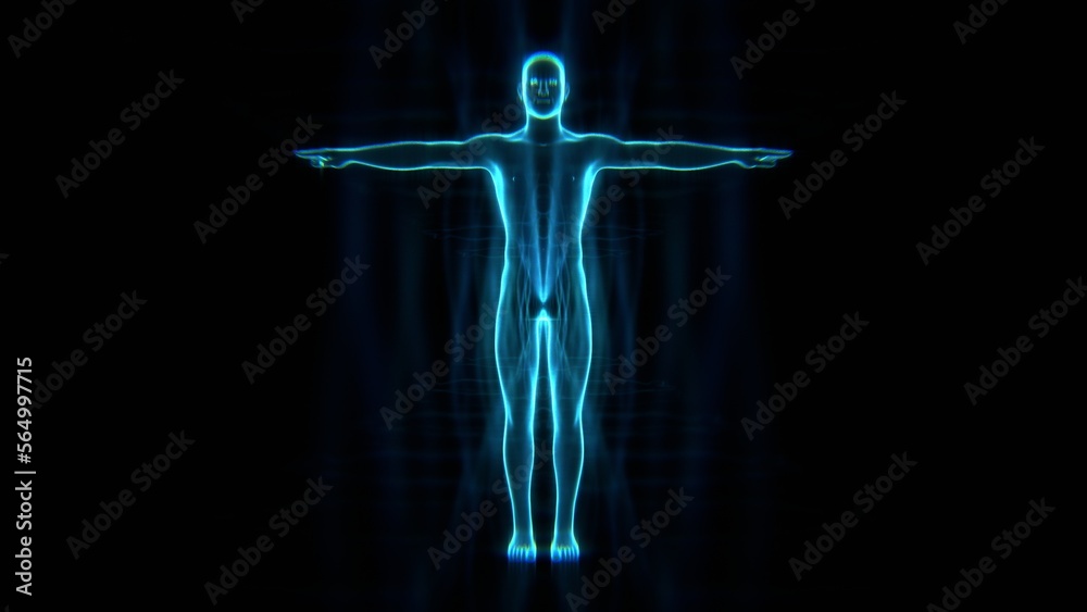 Human body. Human model rotation. Bioengineering and medical technology ...