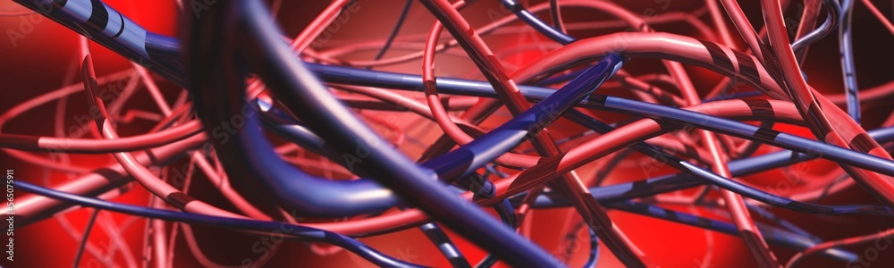 Blood vessels, circulatory system, veins and arteries, 3D rendering ...