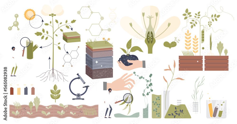 Plant biology with scientific organic research tiny person collection ...