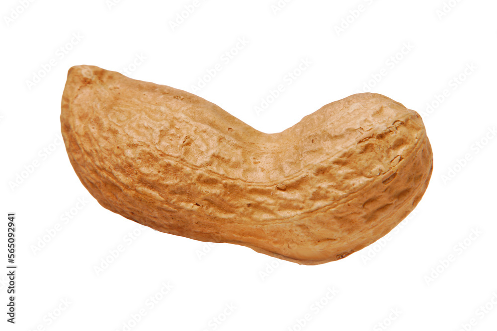 Peanut shell isolated on transparent layered background Stock Photo ...