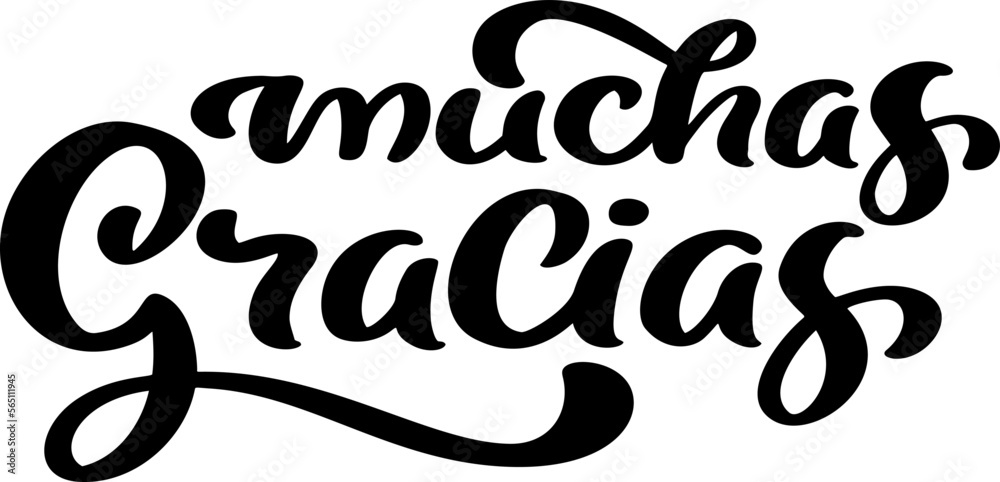 Thank you vector lettering text in spanish Muchas Gracias. Hand drawn ...