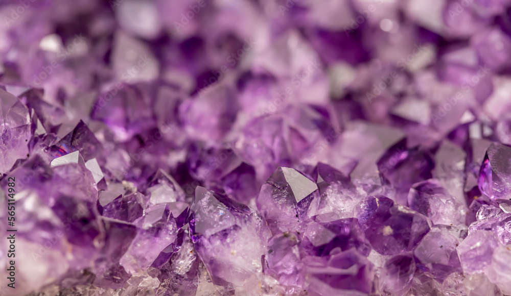 Amethyst purple crystals. Gems. Mineral crystals in the natural ...