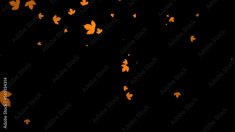 Autumn leaf falling animation for wedding video. Looped falling ...