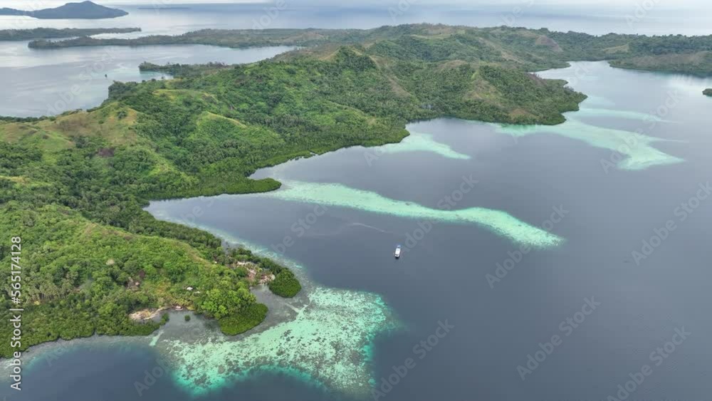 Healthy coral reefs fringe a lush island in the Solomon Islands. This ...