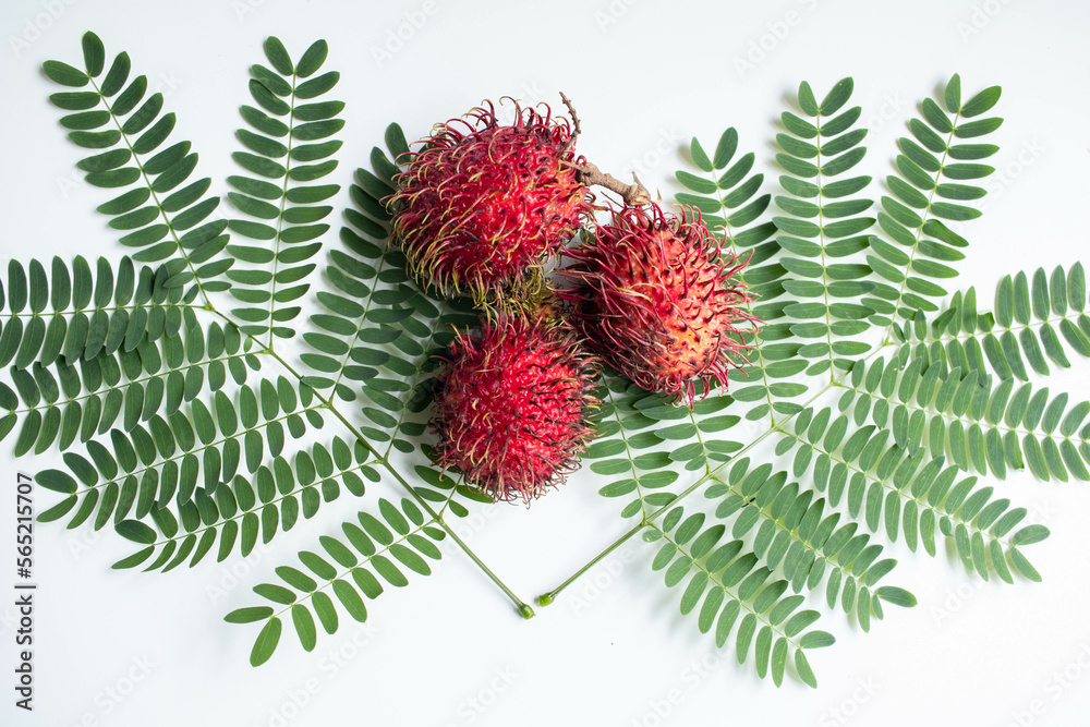 Rambutan taxonomic name: Nephelium lappaceum is a medium-sized tropical ...