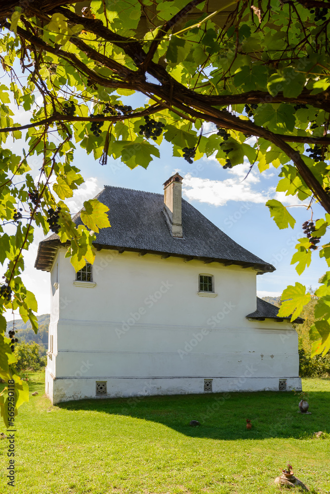 Medieval fortified mansion Cula Greceanu in Maldaresti, Valcea, Romania ...