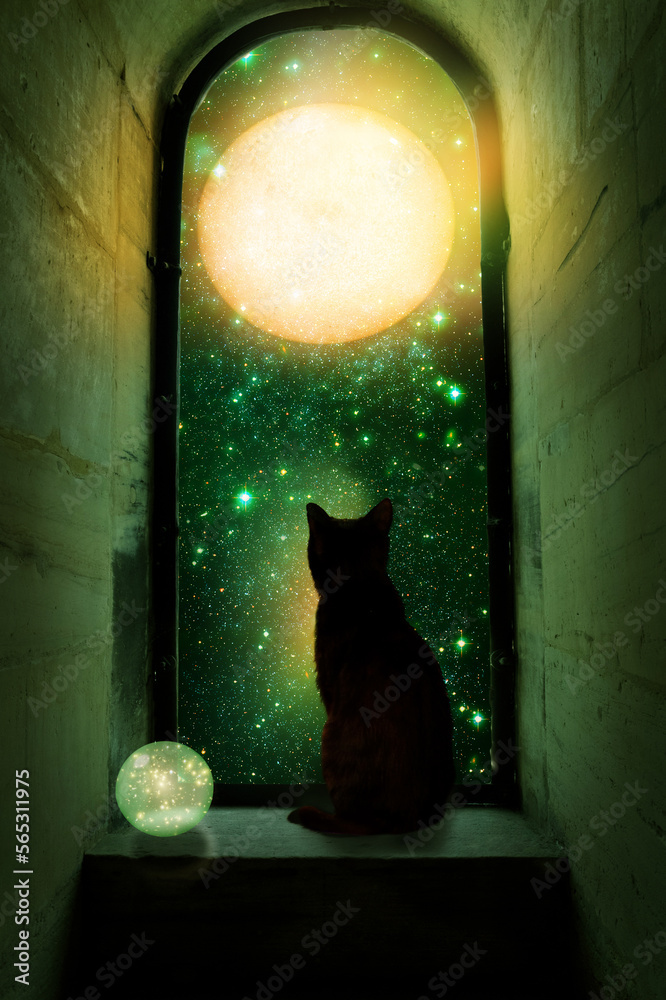mystical cosmic gothic scenery in window with stars and moon and black ...