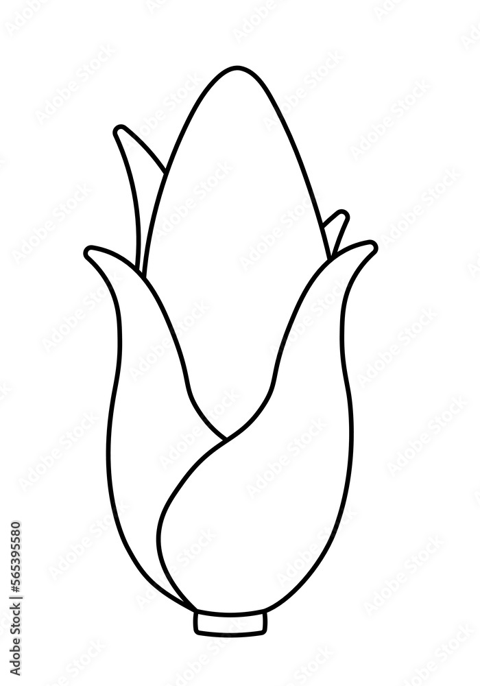 Black Line Corn Coloring Page Vegetable Vector Illustration Image on ...