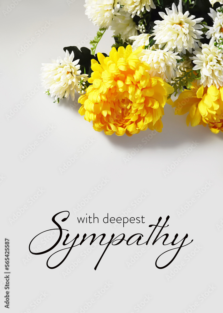 Sympathy card with chrysanthemum flowers Stock Photo | Adobe Stock